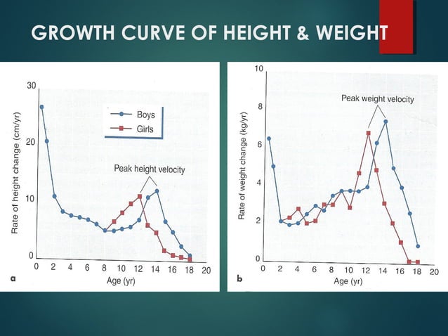 Anthropometry | PPT | Bodybuilding | Sports