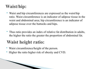 Anthropometry | PDF