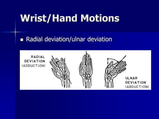 Anthropometry.ppt
