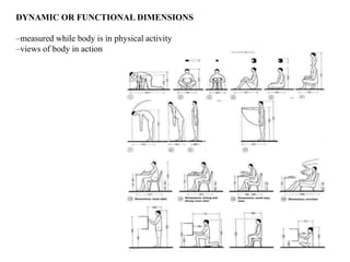 Anthropometry.pptx