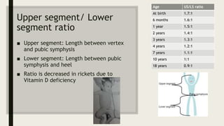 ANTHROPOMETRY.pptx