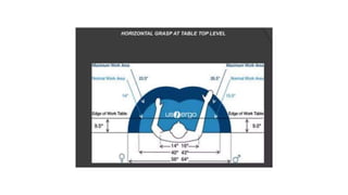 Anthropometry.pptx related to human factor | PPTX