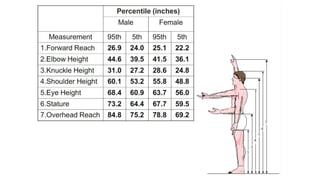 Anthropometry.pptx related to human factor | PPTX