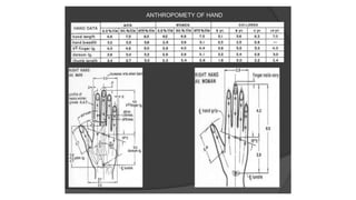 Anthropometry.pptx related to human factor | PPTX