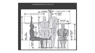Anthropometry.pptx related to human factor | PPTX