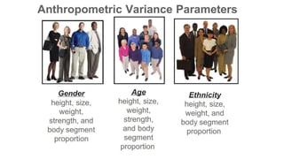 Anthropometry.pptx related to human factor | PPTX