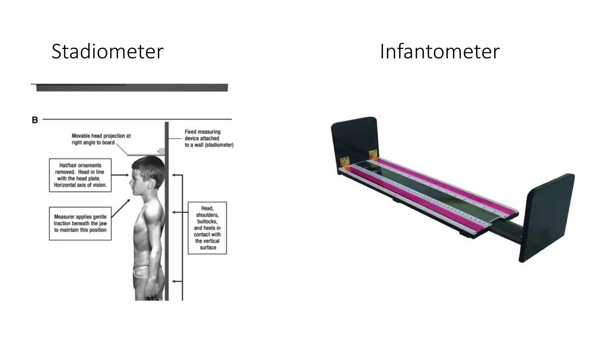 ANTHROPOMETRY BASICS DISCUSSED IN DETAIL | PPT