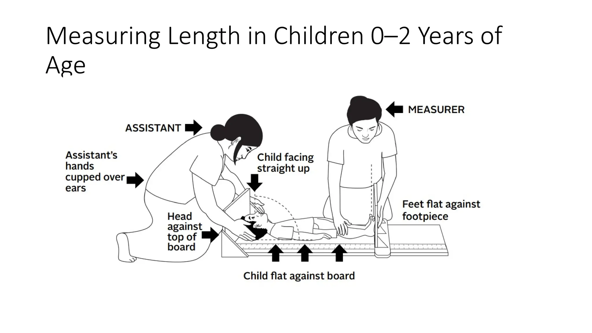 ANTHROPOMETRY BASICS DISCUSSED IN DETAIL | PPT