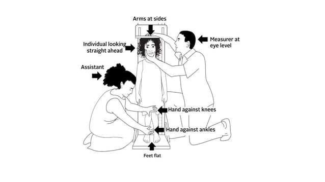 ANTHROPOMETRY BASICS DISCUSSED IN DETAIL | PPT