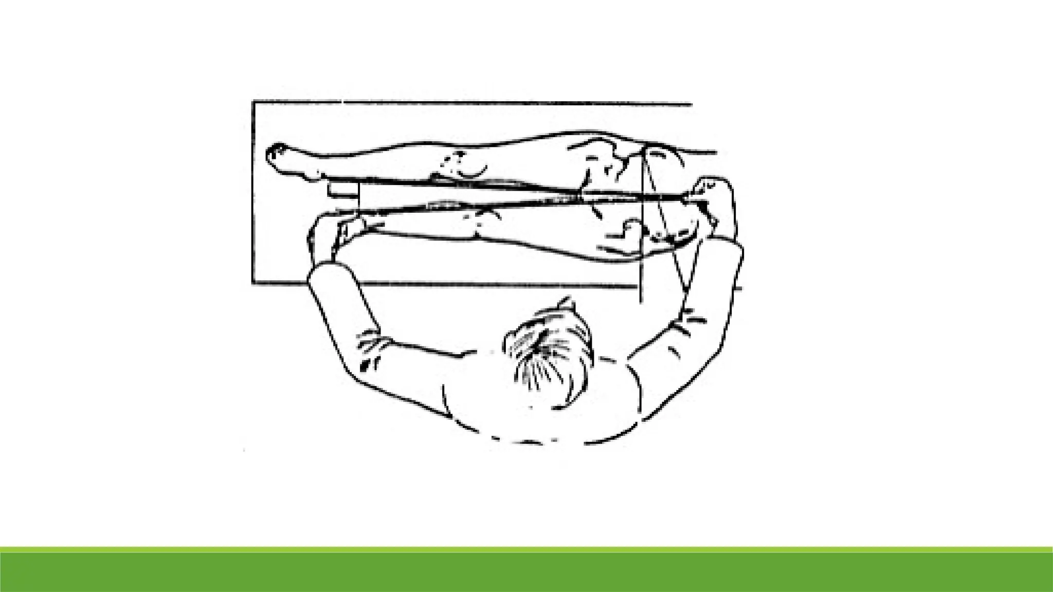 Anthropometry Pptx Muscle Test Measurement Pptx