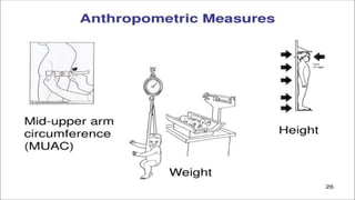 anthropometry discussion which describes | PPTX