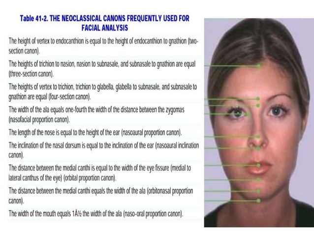 Anthropometry and cephalometric facial analysis | PPTX | Skin Care | Beauty