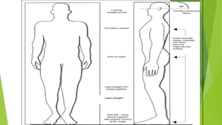 ANTHROPOMETRY ASSESSMENT FOR ADULTS.pptx