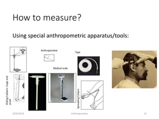 Anthropometry_english.pdf