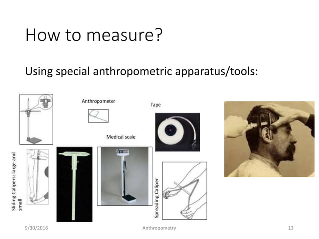 Anthropometry_english.pdf