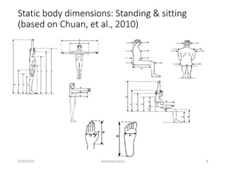 Anthropometry_english.pdf
