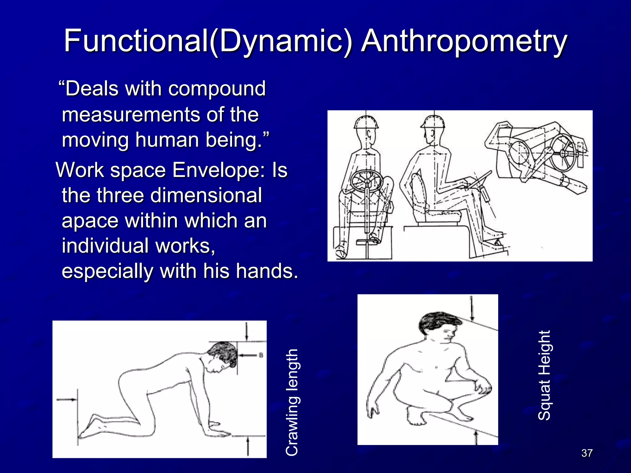 Anthropometry pps | PPSX