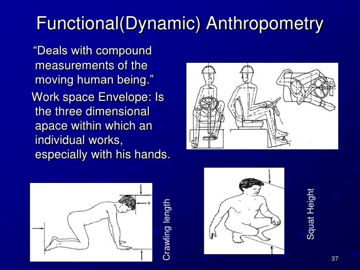 Anthropometry pps