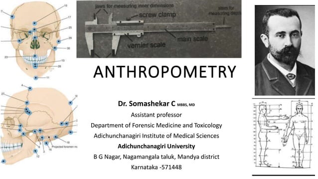 Anthropometry and Morphometry and their applications Dr Somashekar C.pptx
