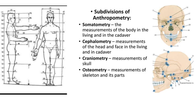 Anthropometry and Morphometry and their applications Dr Somashekar C.pptx