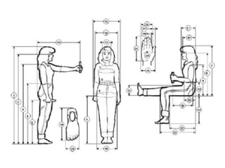 Anthropometry Presentation.pptx