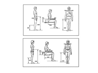 Anthropometry Presentation.pptx