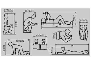 Anthropometry Presentation.pptx