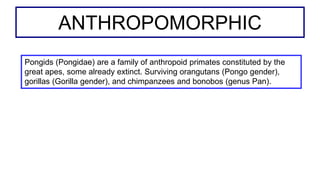 Anthropomorphics apes | PPT