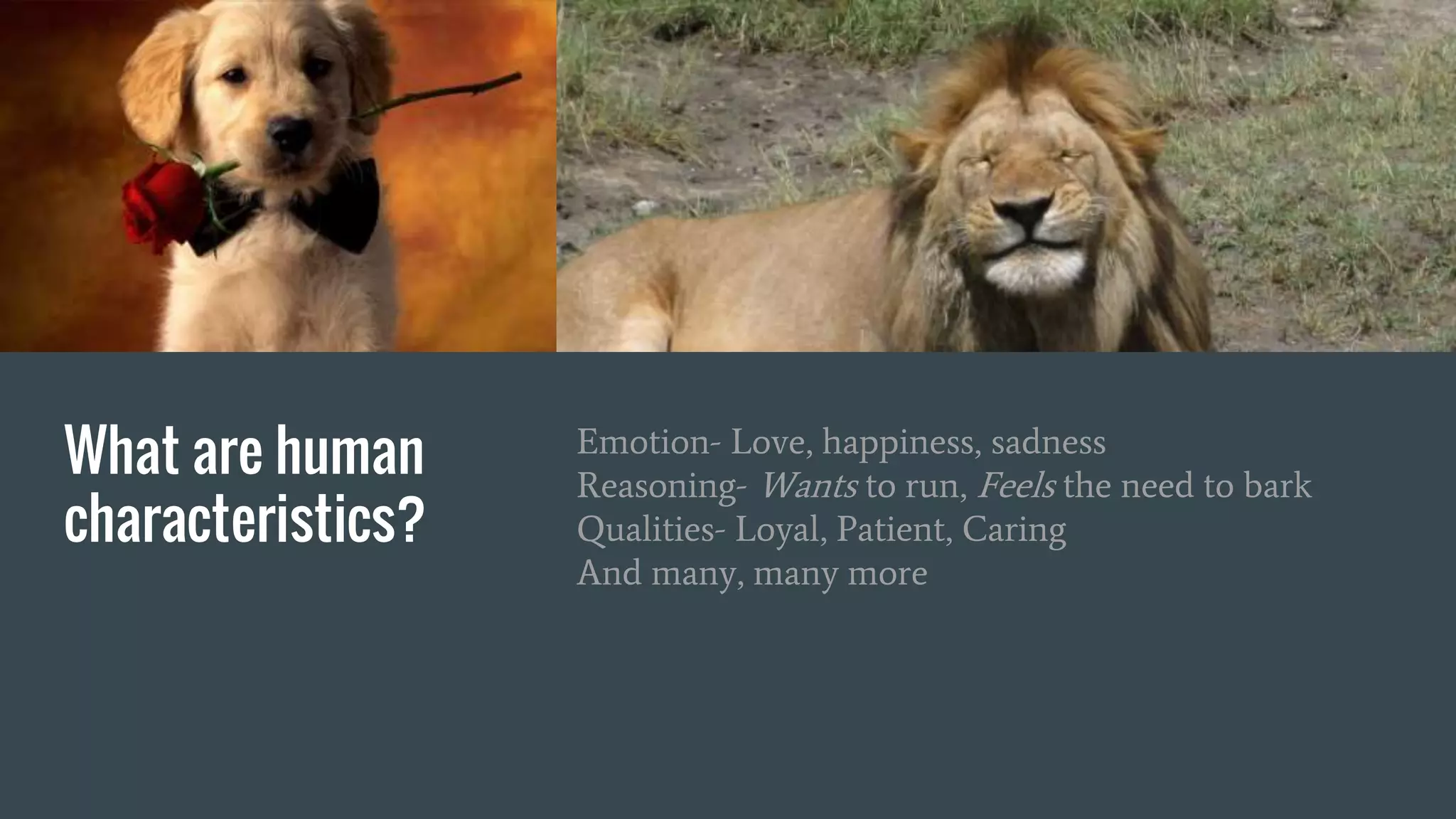Anthropomorphizing: Seeing the World Through Human Tinted Glasses | PPT
