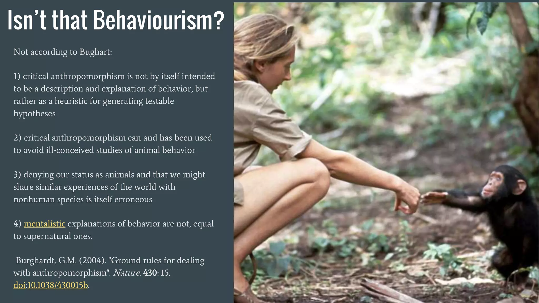 Anthropomorphizing: Seeing the World Through Human Tinted Glasses | PPT