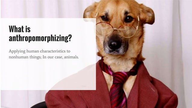 Anthropomorphizing: Seeing the World Through Human Tinted Glasses | PPT