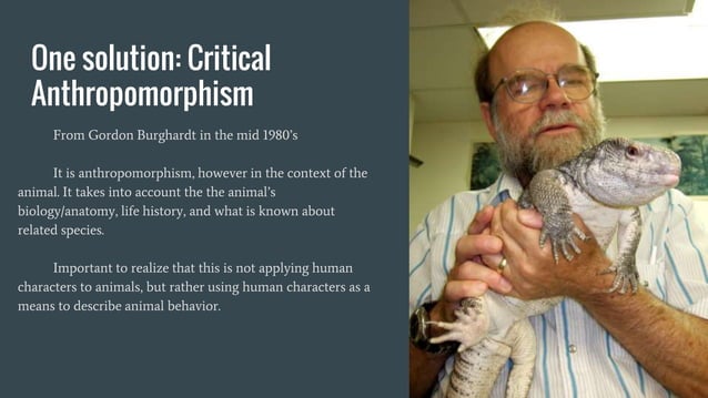 Anthropomorphizing: Seeing the World Through Human Tinted Glasses | PPT