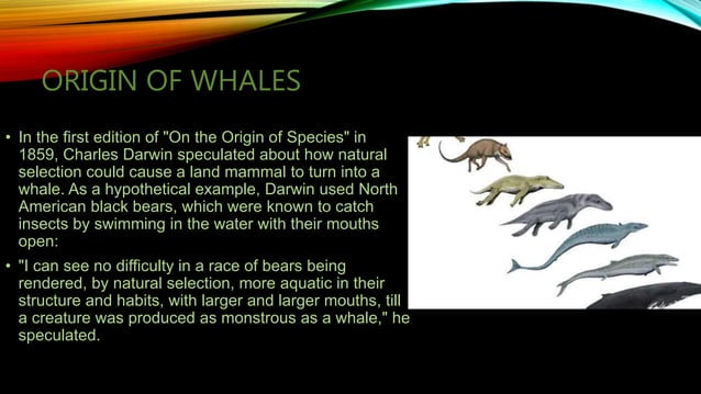 Theories of organic evolution | PPTX