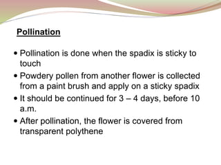 Identification of varieties, propagation methods and potting of ...