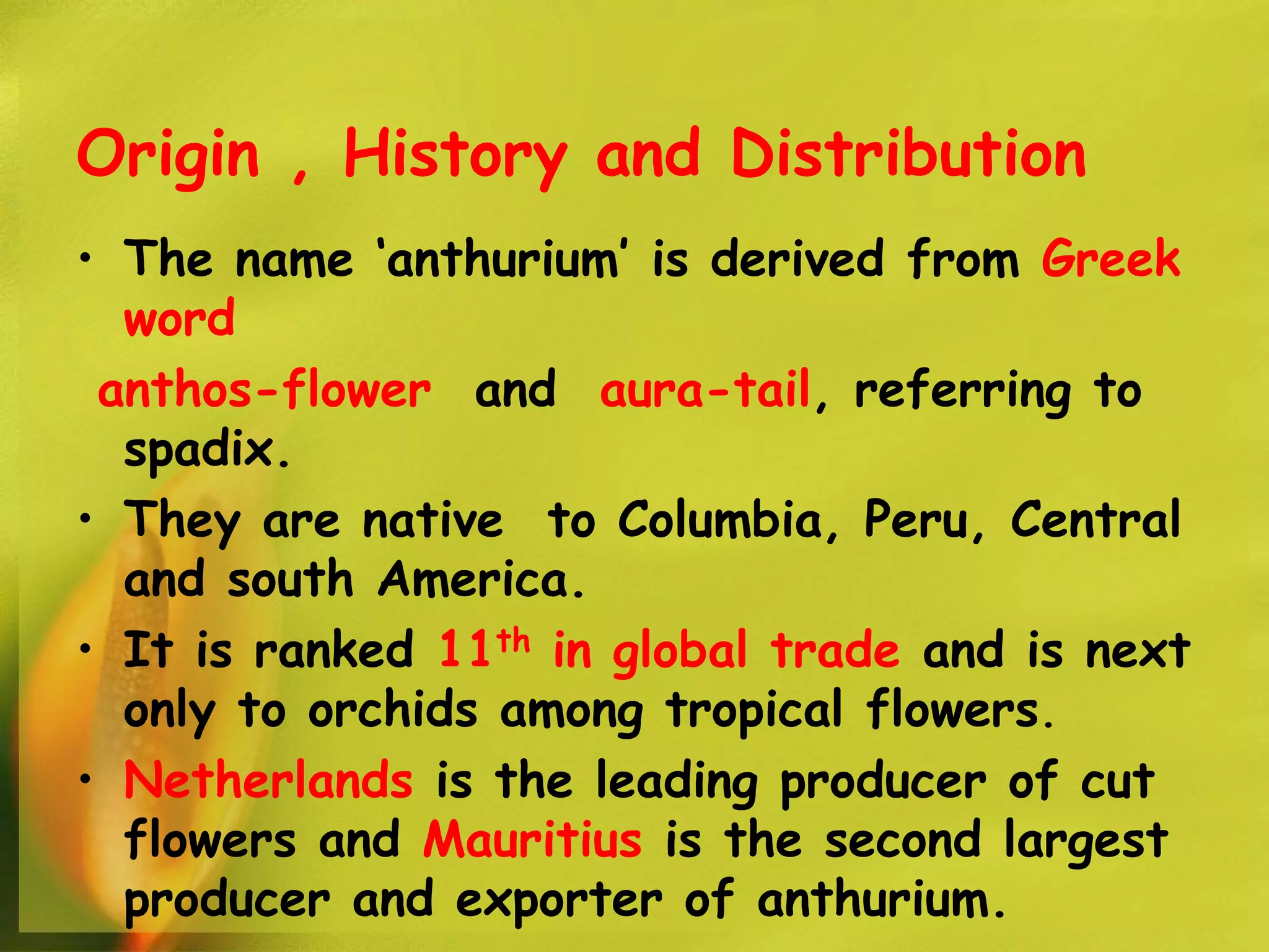 Anthurium Crop Production | PPTX
