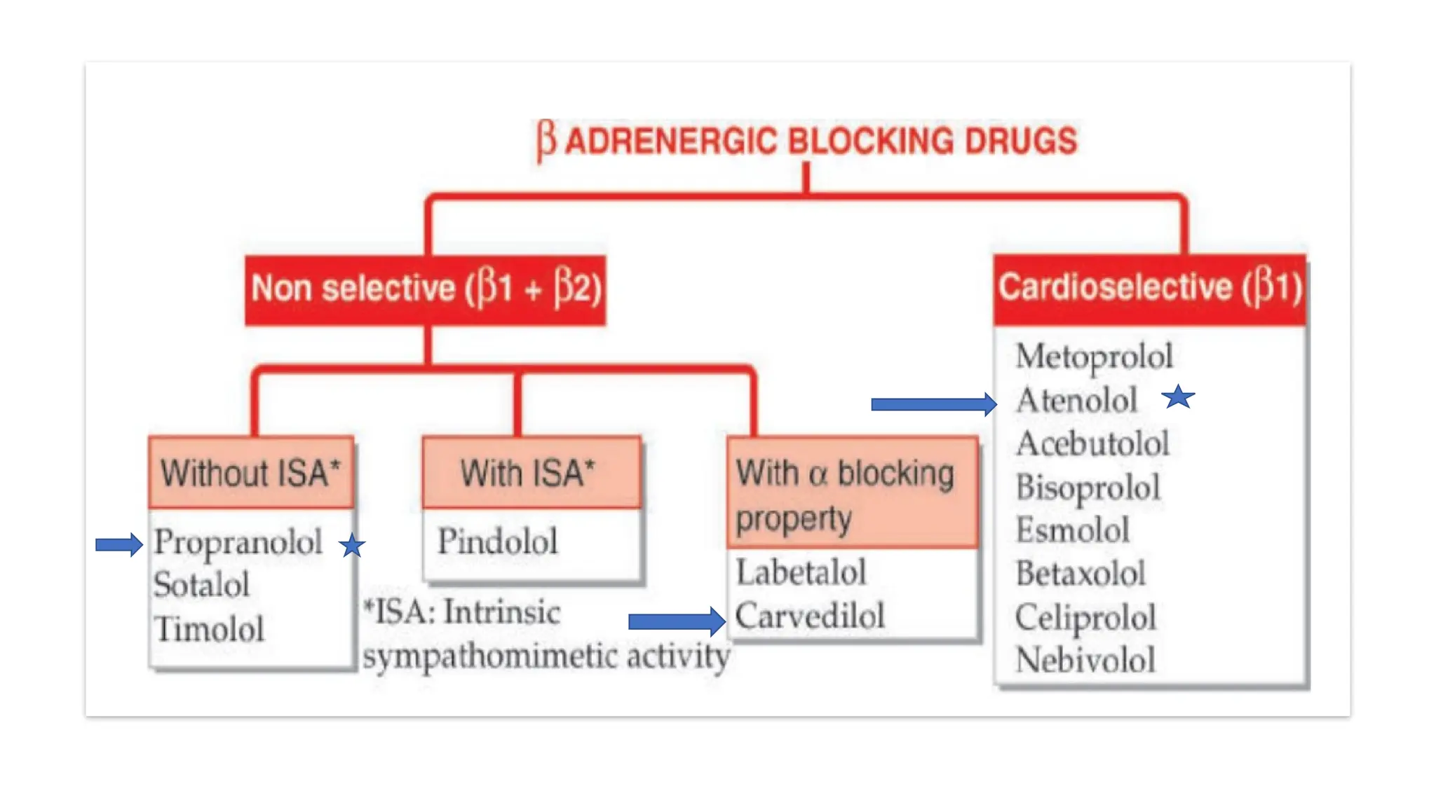 introduction and classification of ANTI-ADRENERGIC DRUG1.pptx