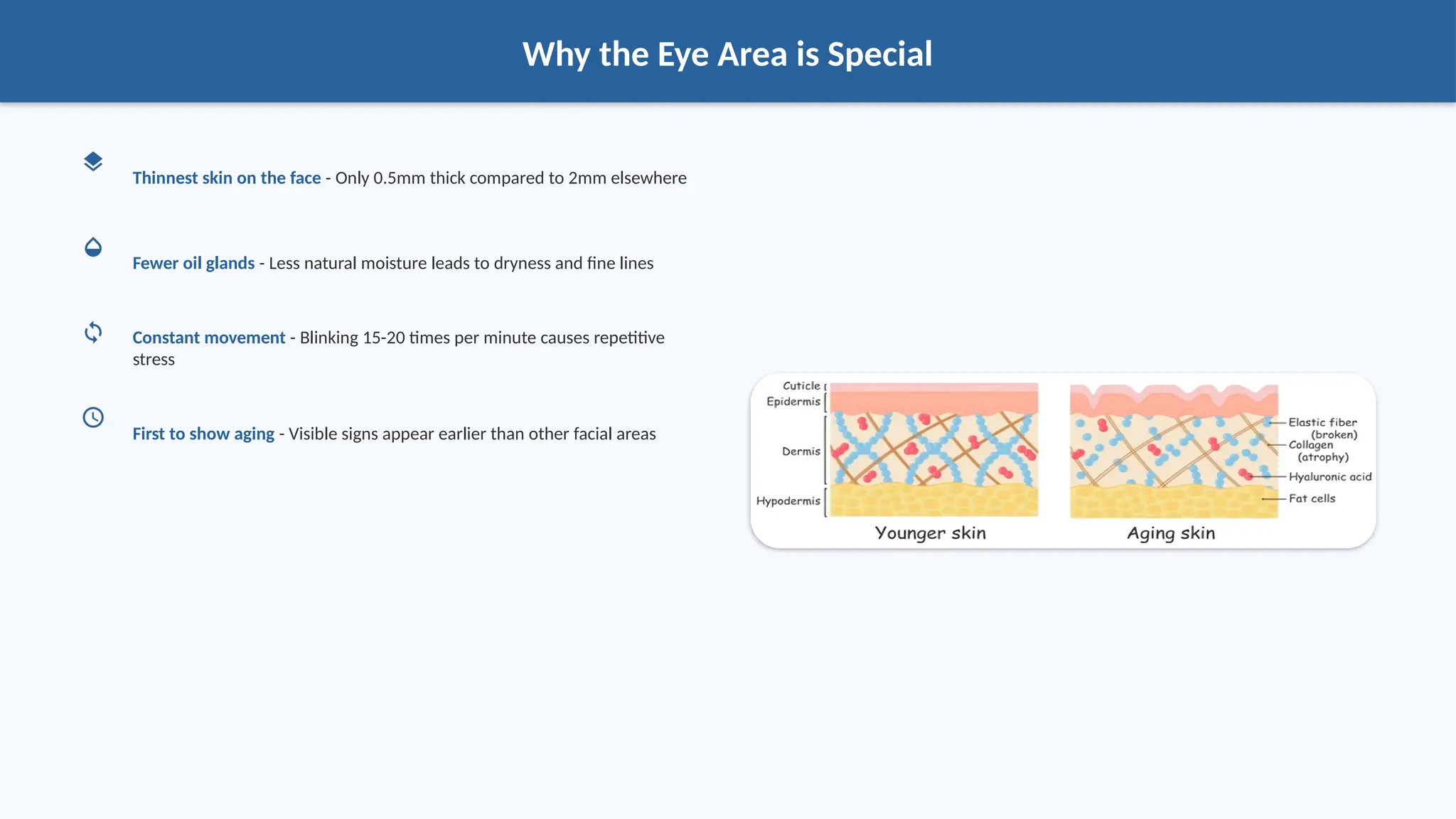 Anti-aging_ Approaching 30s. How to preserve skin around eyes_.pptx