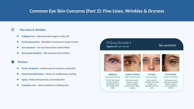 Anti-aging_ Approaching 30s. How to preserve skin around eyes_.pptx