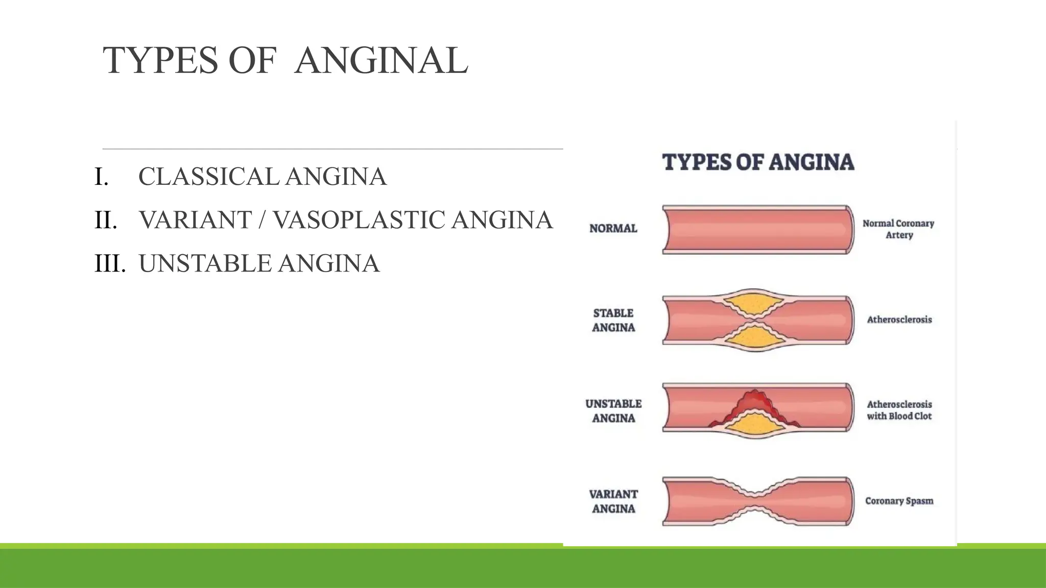 PRE CLINICAL SCREENING METHOD OF ANTI ANGINAL DRUGS | PPTX