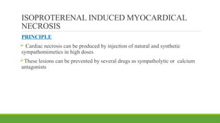 PRE CLINICAL SCREENING METHOD OF ANTI ANGINAL DRUGS | PPTX