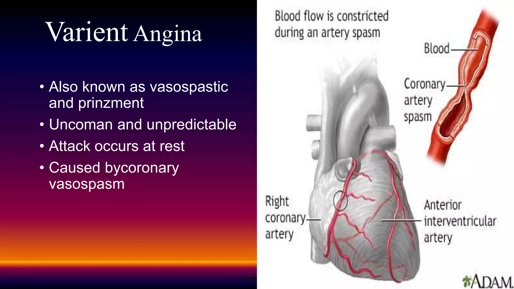 ANTI-ANGINAL abhishek borkar.pptx