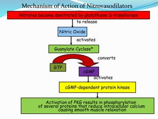 Anti anginal drugs. | PPT