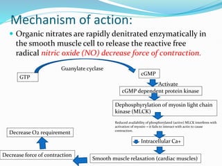 Anti-Anginal Drugs.pptx Cardiac Pharmacology | PPTX