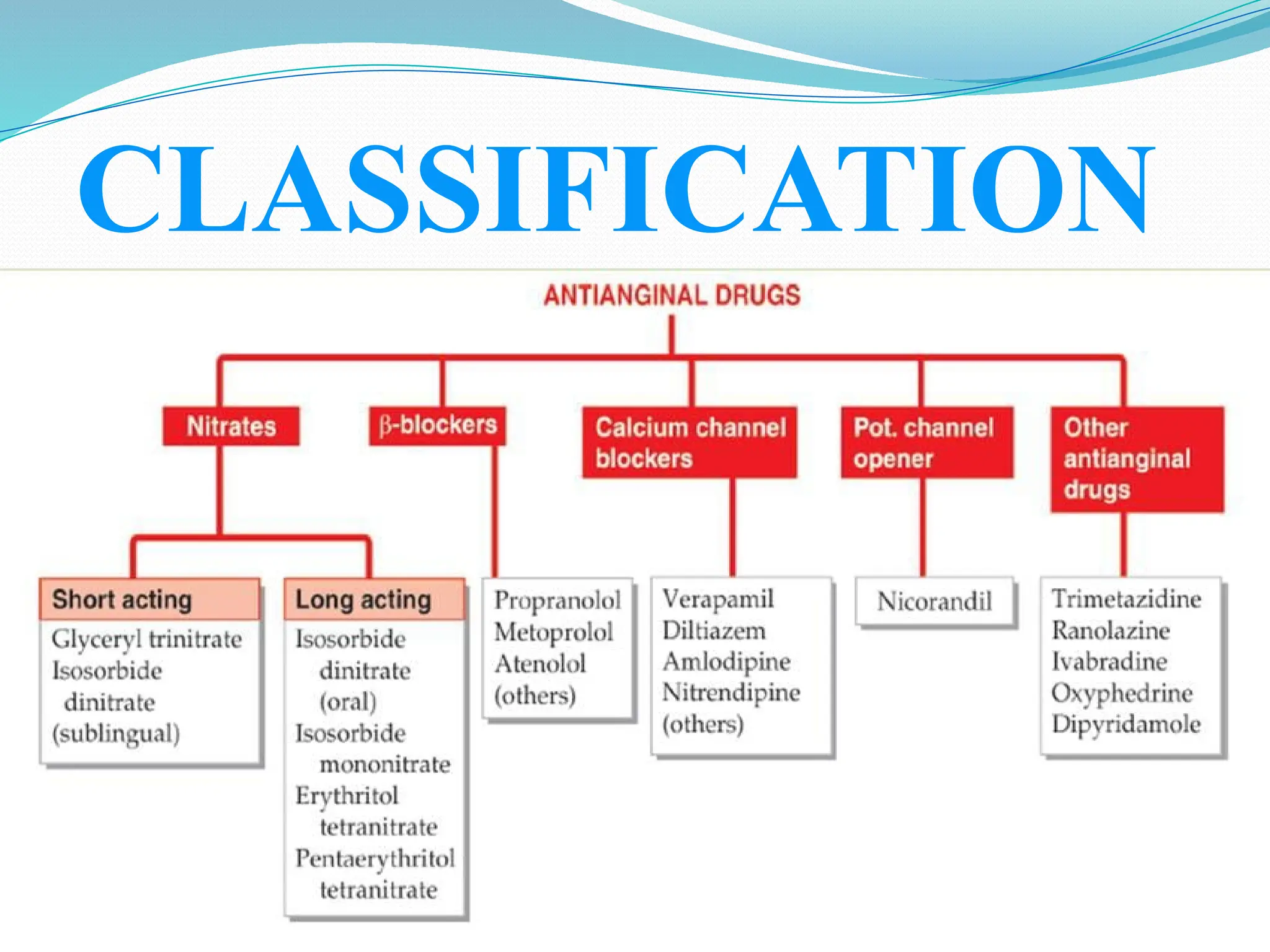 Anti-anginal drugs, pathophysiology, their mechanism of action and ...