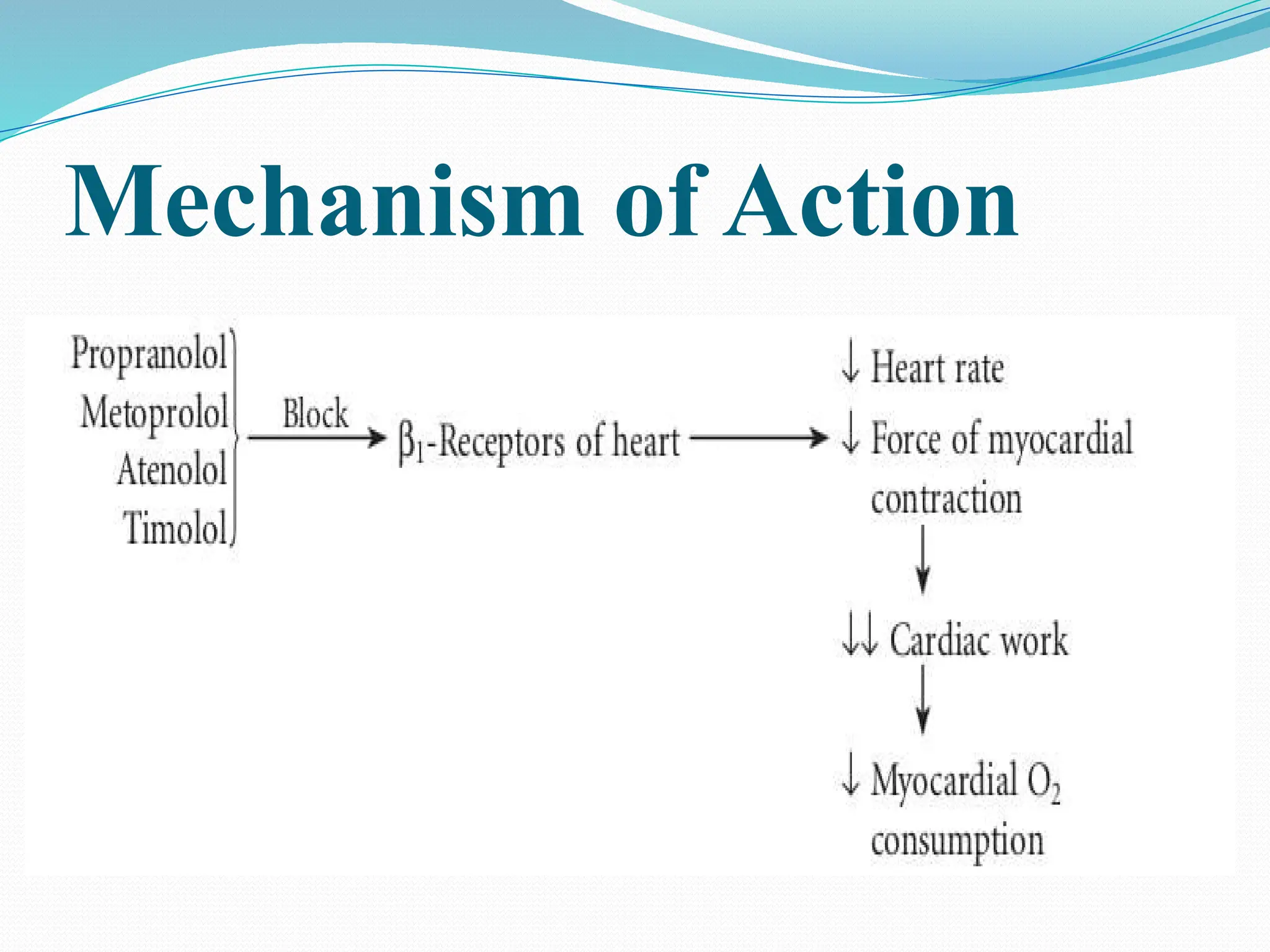 Anti-anginal drugs, pathophysiology, their mechanism of action and ...