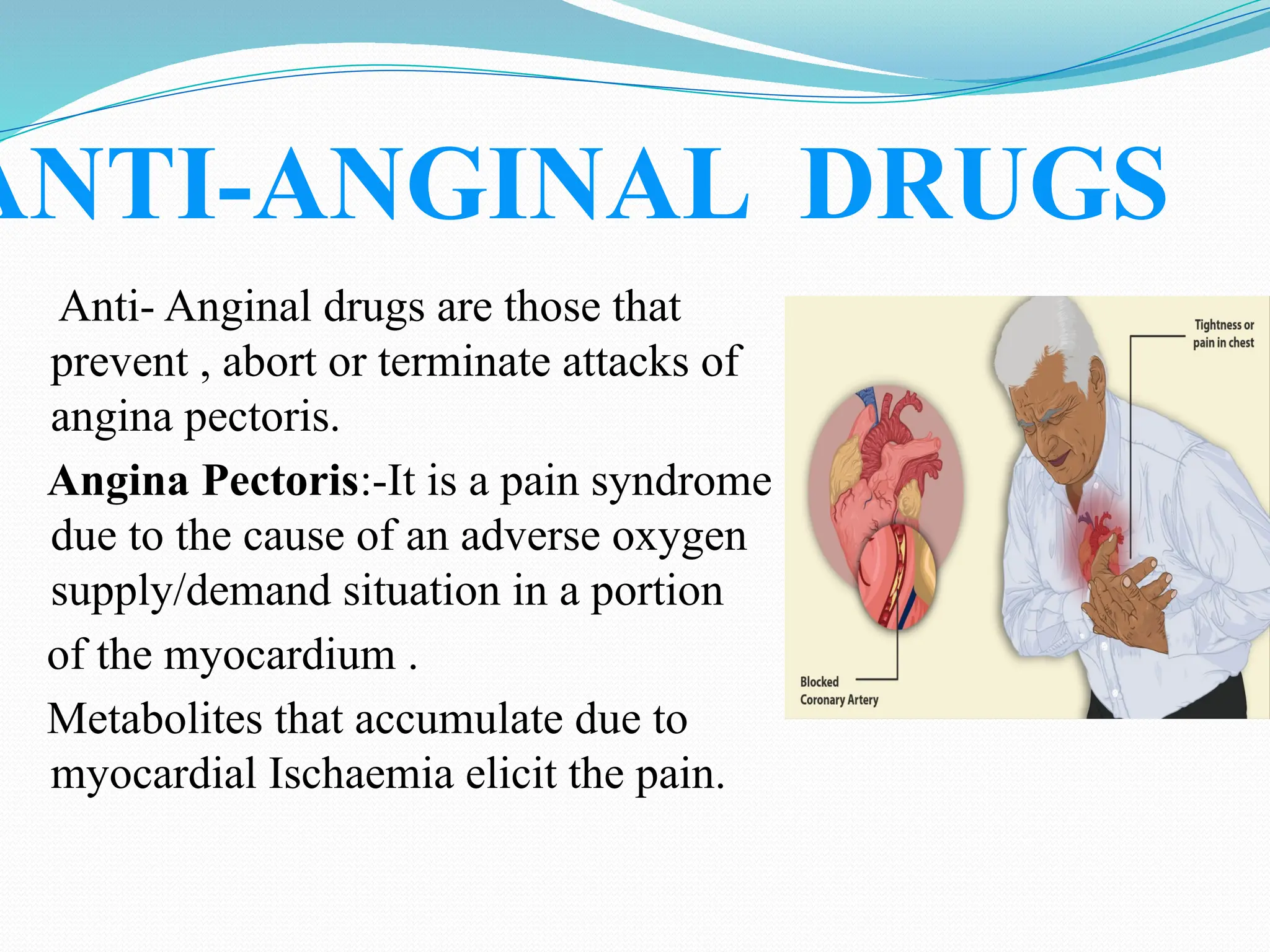 Anti-anginal drugs, pathophysiology, their mechanism of action and ...