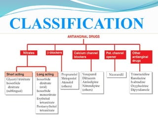 Anti-anginal drugs, pathophysiology, their mechanism of action and ...