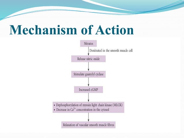 Anti-anginal drugs, pathophysiology, their mechanism of action and ...