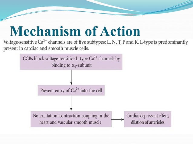 Anti-anginal drugs, pathophysiology, their mechanism of action and ...