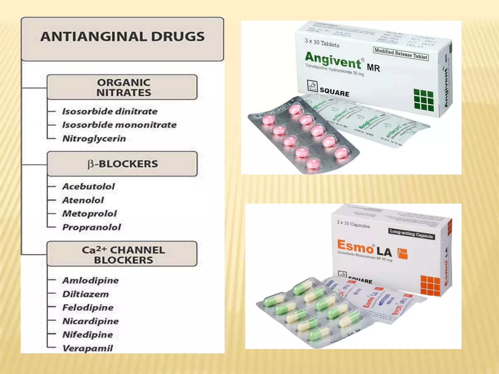 Anti anginal drugs ppt by anjali kotwal | PPTX